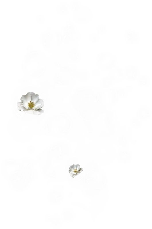 Photo: elements (182) | Overlays album | Jossie | Fotki.com, photo and ...