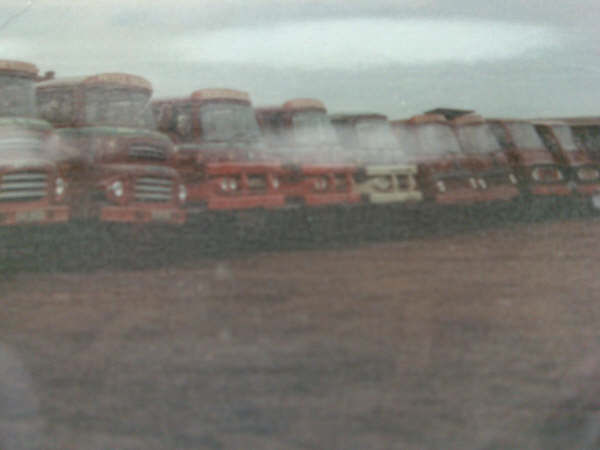 Patrick Gillooly Transport, Longriggend, Airdrie, Scotland. album ...