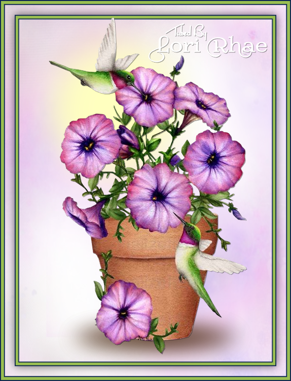 Photo: Preview - Potted Petunias LR-5-24-23 | Lori Rhae album | Jossie ...