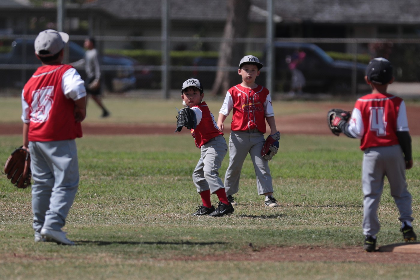 Photo: AM4I7932 (2) | Hawaii Diamond Head Pinto Baseball album ...