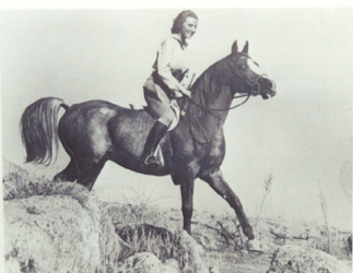 Photo: LOTHAR #10098 (*Fadl x Habba, by *Fadl) 1955 chestnut rabicano ...