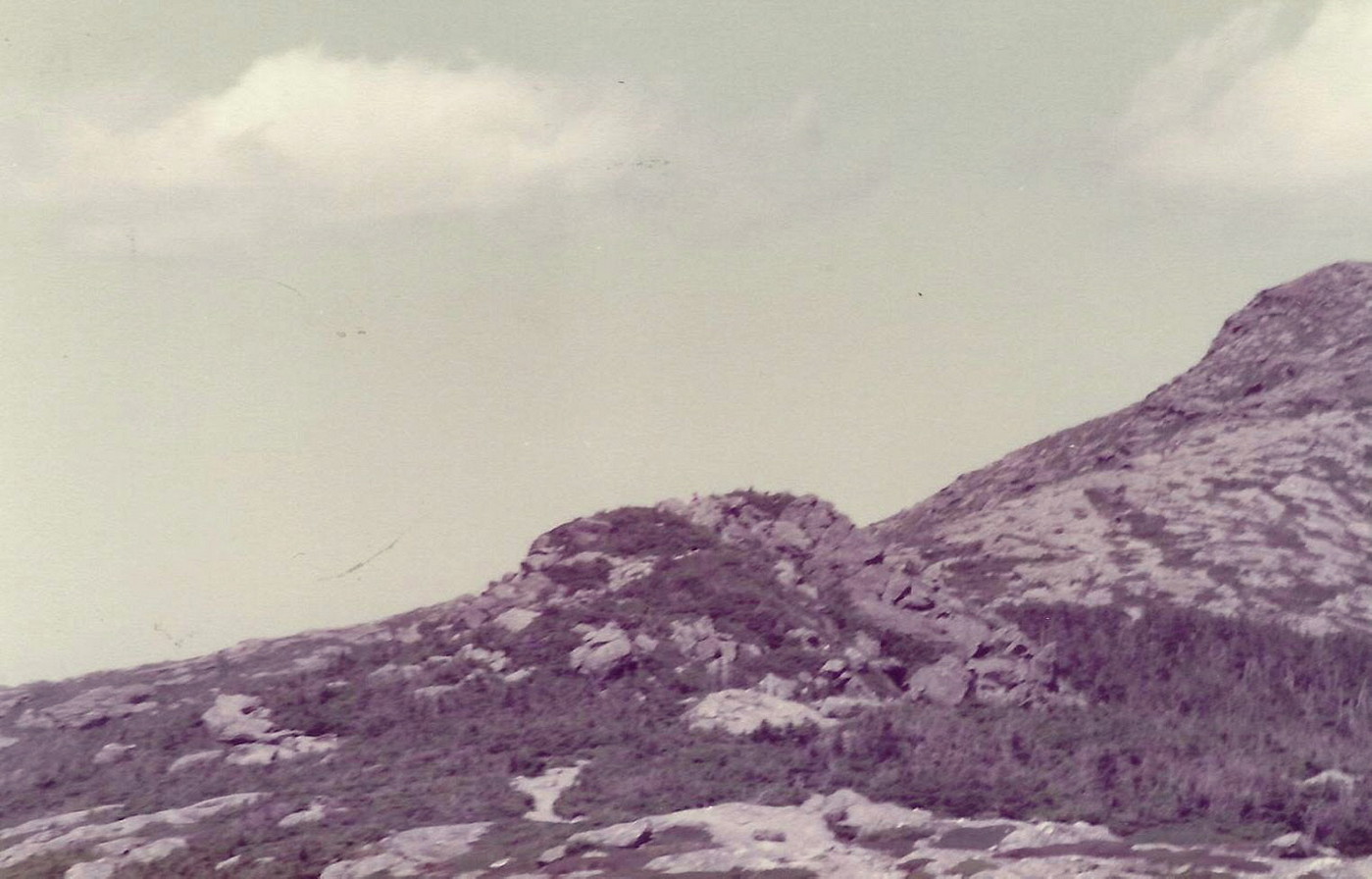 Photo: A Barren Windblown Area enroute to the Mount Mansfield Summit in ...