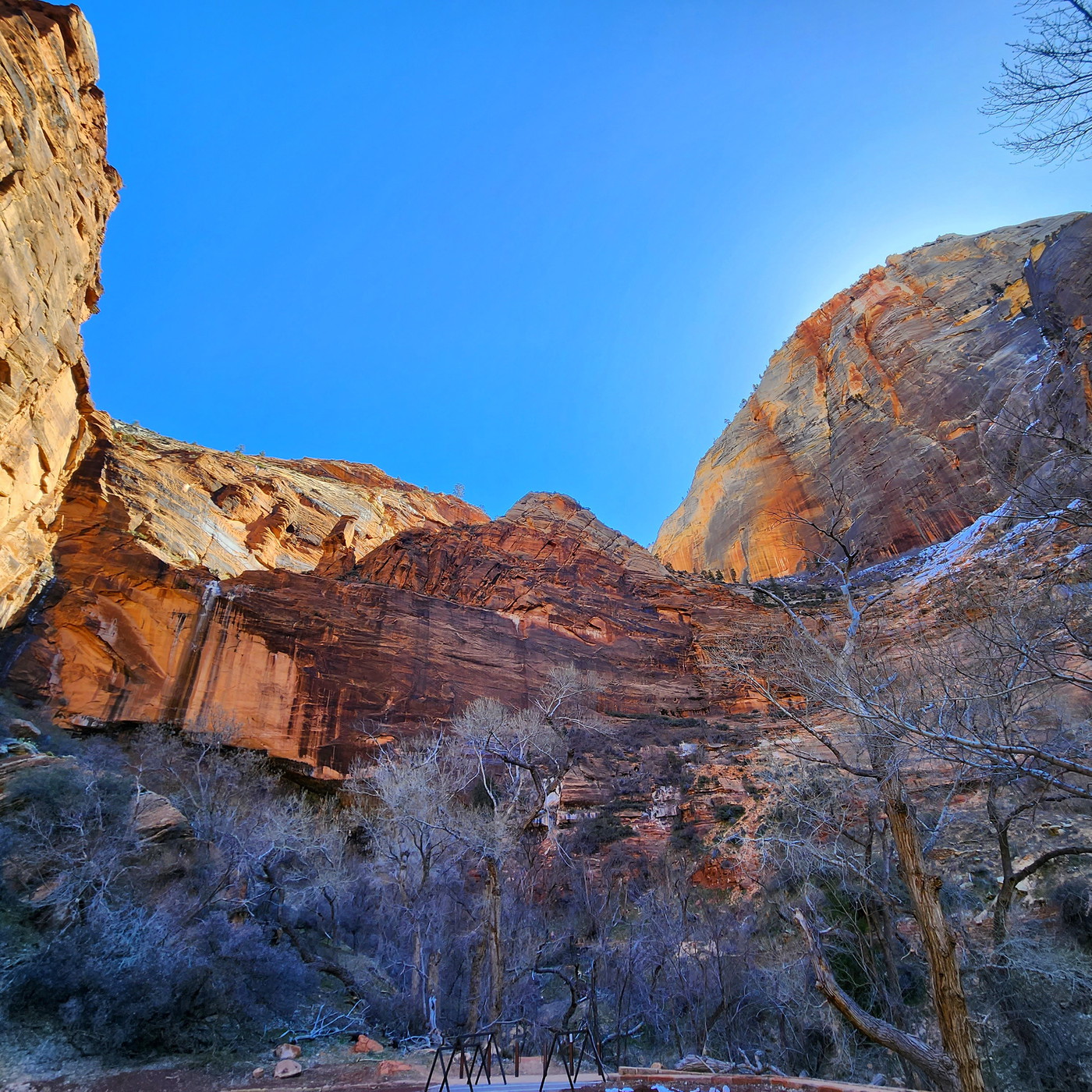 Photo: Multicolor Rock Strata is Seen from the Zion Lodge Area of Zion ...