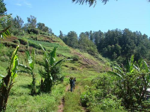 Photo: Furcy. | Haïti Jadis, by Frankie Morone. album | Pikliz.com ...