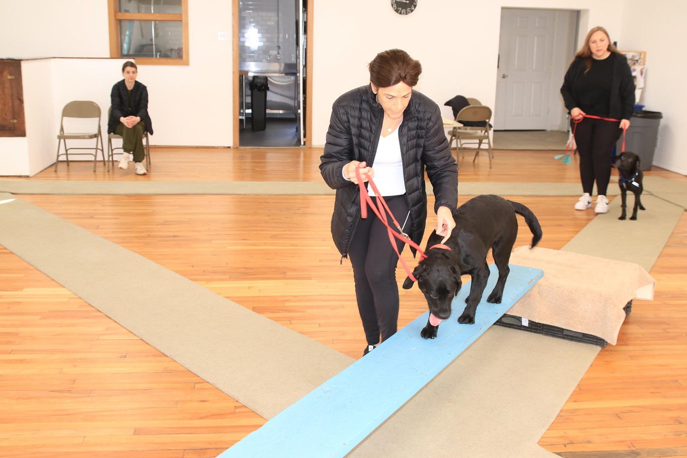 Photo: 2024-03-16 Plank Walk S1 (12) | Ringwood-03-23-24 S1 album | Trainervin | Fotki.com ...