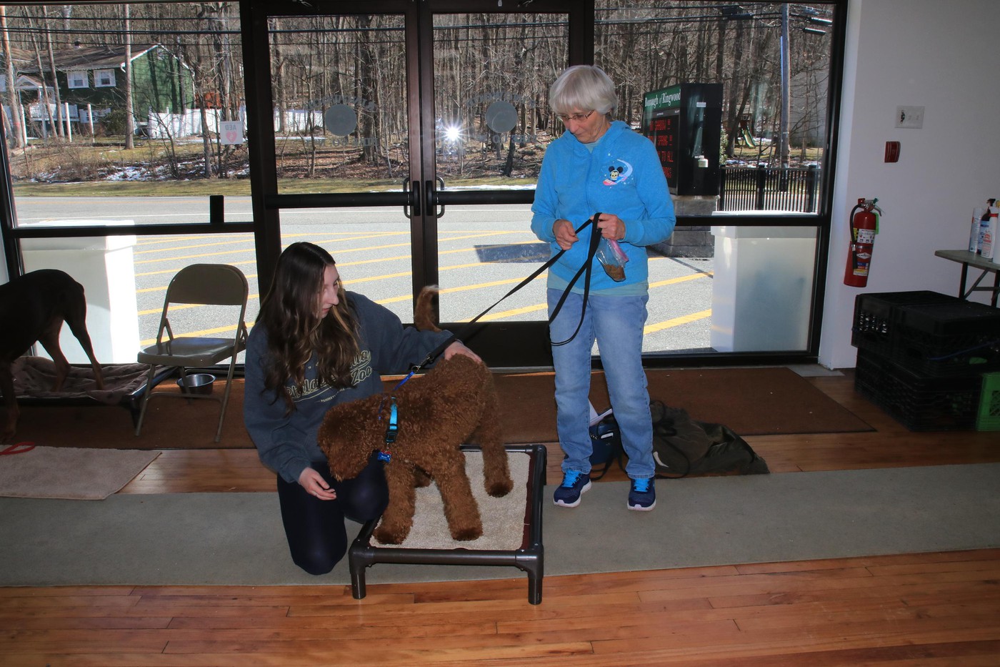 Photo: 2024-02-24 Class1 S2 Bruno (1) | Ringwood-03-23-24 S2 album ...