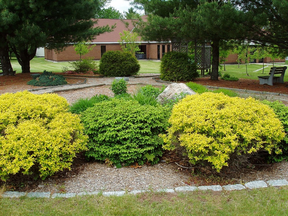 Photo: SOMERS - PUBLIC LIBRARY - 04.jpg | SOMERS - SOMERSVILLE, CT ...
