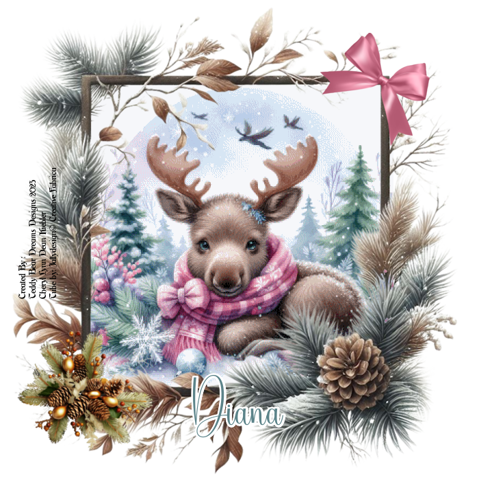 Willow's Winter - Signature Tags and Extras album | 🐾Teddy Bear Dreams ...