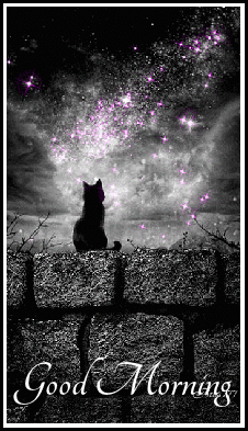 Photo: goodmorning-viCAT STARS | Extras-Variety album | Miracle-Marge ...