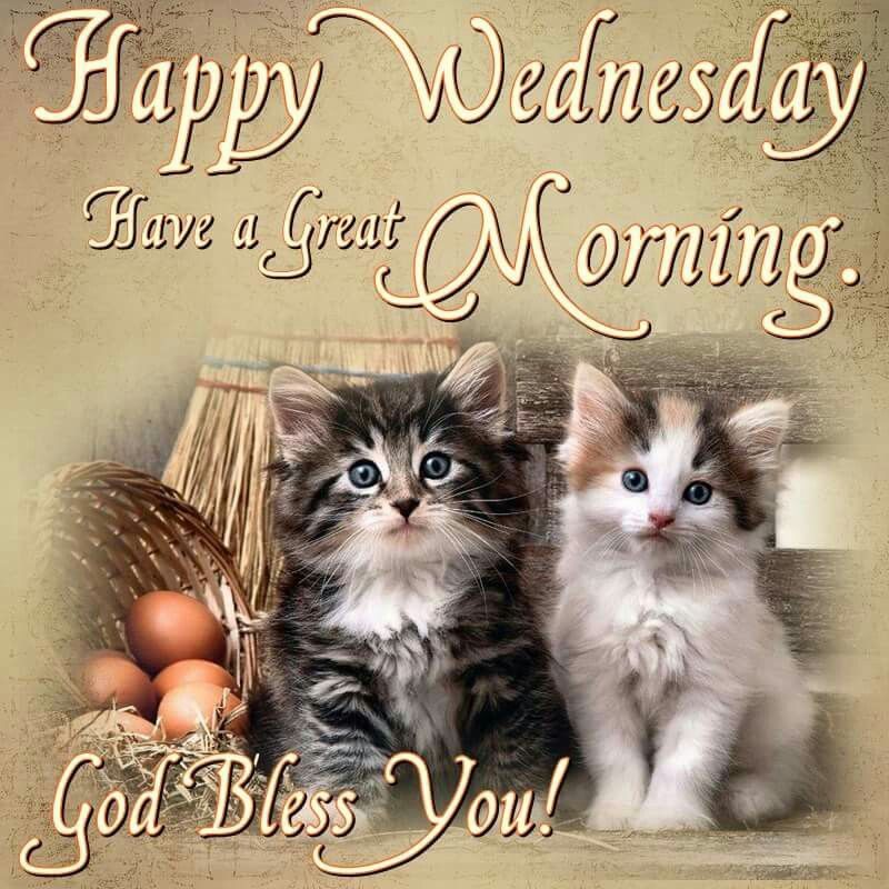 Happy Wednesday Cat CUTE HAPPY WEDNESDAY CAT CLASSIC ROUND STICKER