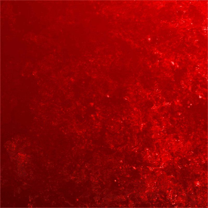 Photo: Wonder World 1 (3) | Wonderworld 1 album | Jossie | Fotki.com ...