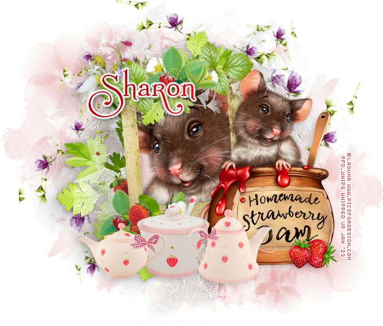 Photo: LAGUNA PFD TBW 0123 Sharon | LAGUNA_PFD_TBW_0123 album | Whippy ...