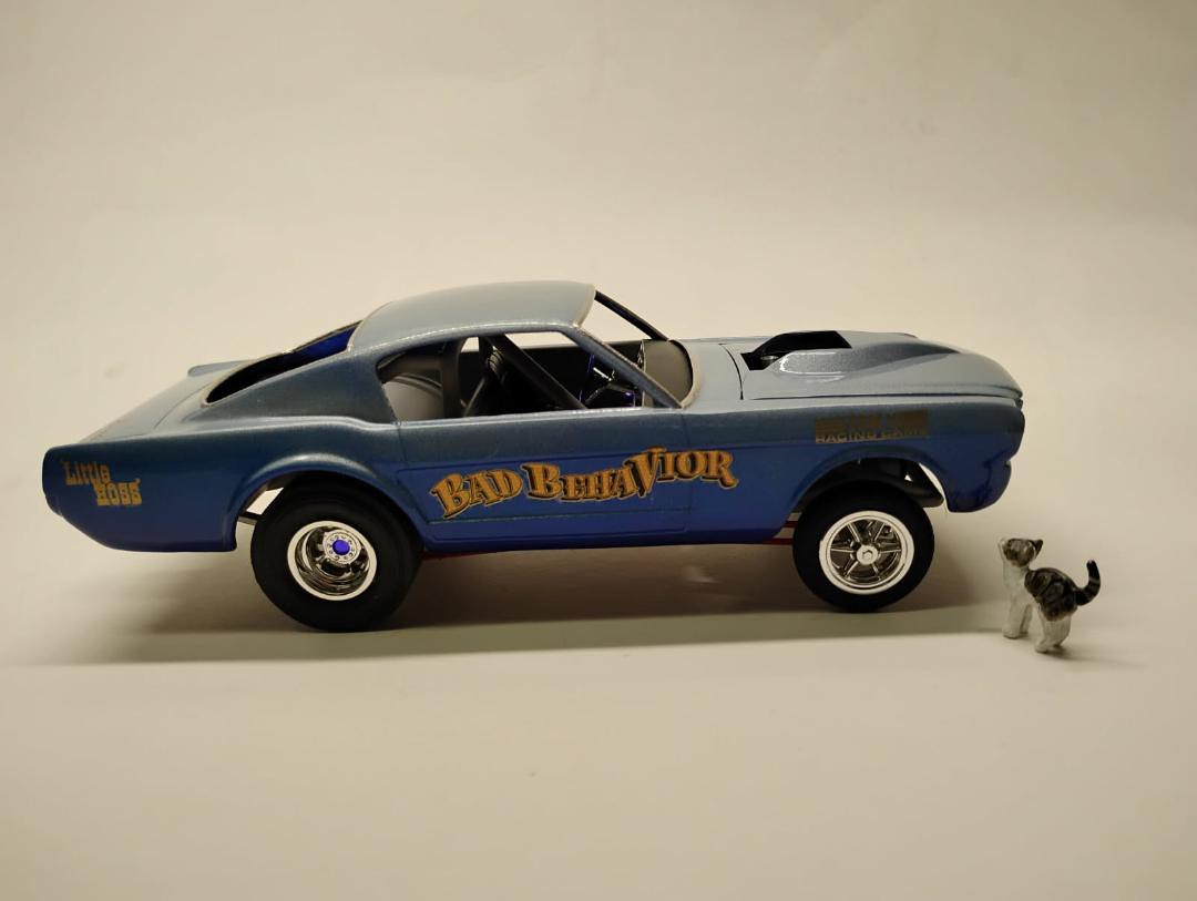 Photo: 65 MUSTANG BB | Frank's 2025 album | NitroMarty | Fotki.com ...