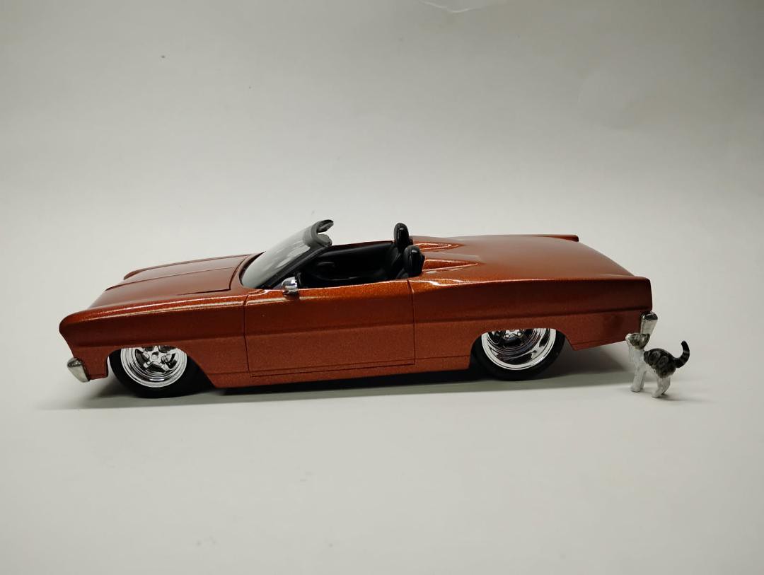 Photo: 66 NOVA SPDSTR | Frank's 2025 album | NitroMarty | Fotki.com ...